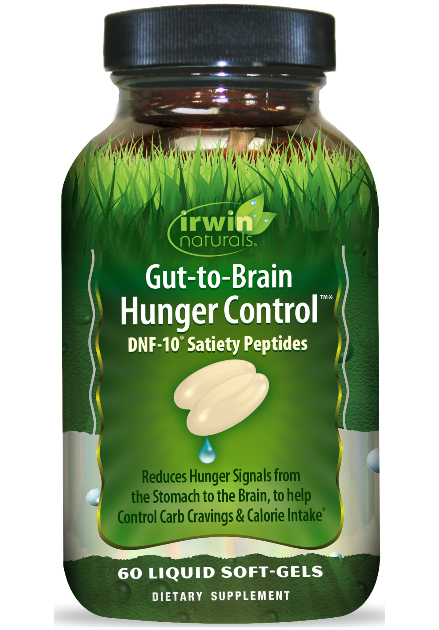 Gut-to-Brain Hunger Control - Weight Loss Management – Irwin Naturals